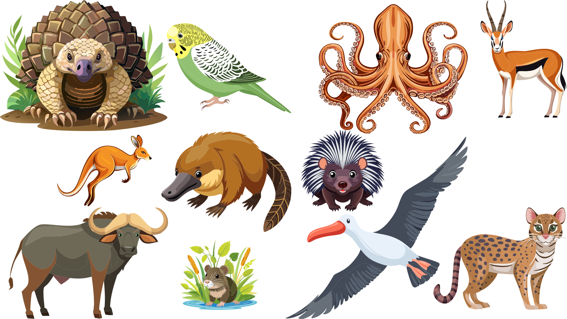 List of Three Syllable Animals – katherineburr